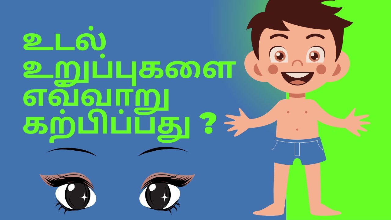 மனித உடல் உறுப்புகள் | Learn body parts name in Tamil | Parts of the ...
