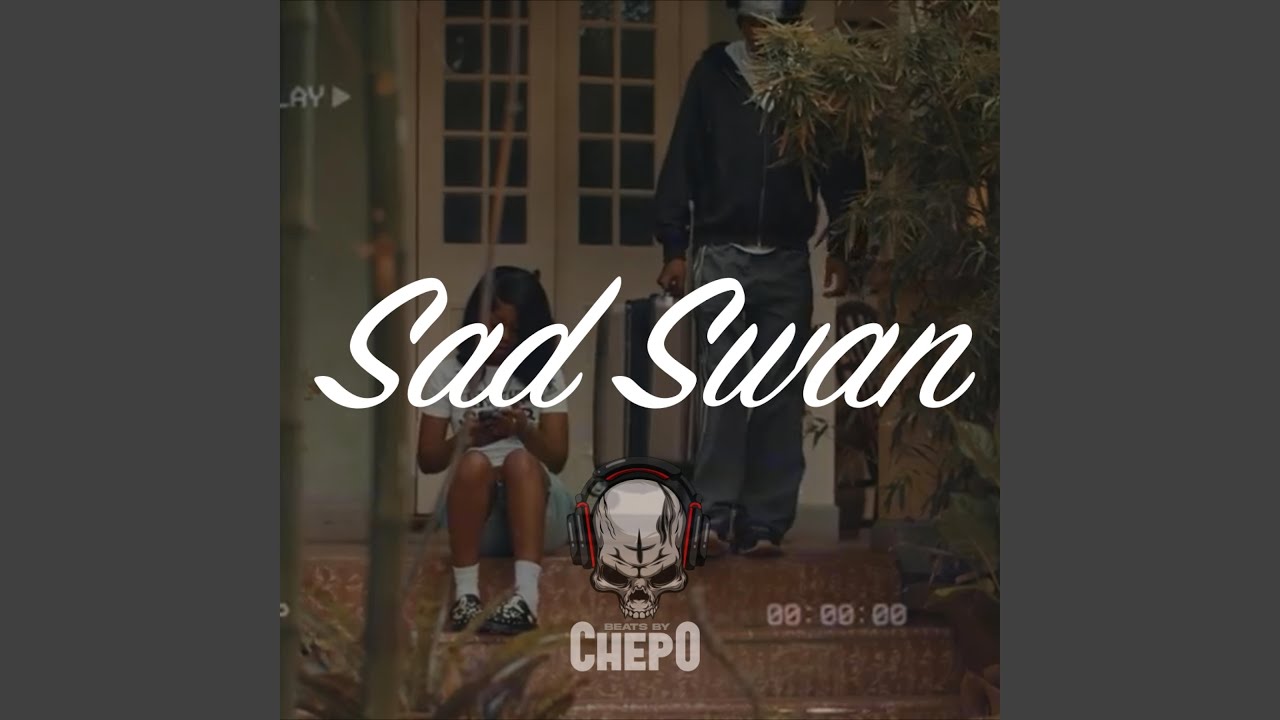 Sad Swan - YouTube