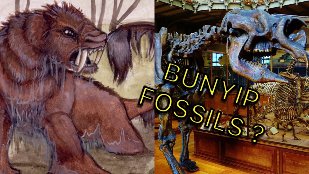 What is the Bunyip (and is it real)? | Creature Feature Episode 4 - YouTube