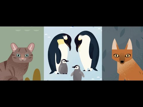 Amazing Animal Atlas - Presentation and App demo - YouTube