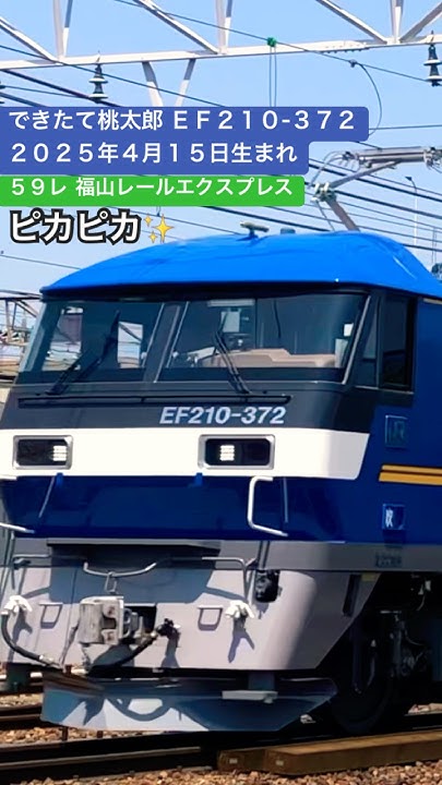 【新作発表】まだ本線出て3日目の電気機関車、EF210-372 貨物列車59レ、福山レールエクスプレスを牽く 20250426 - YouTube