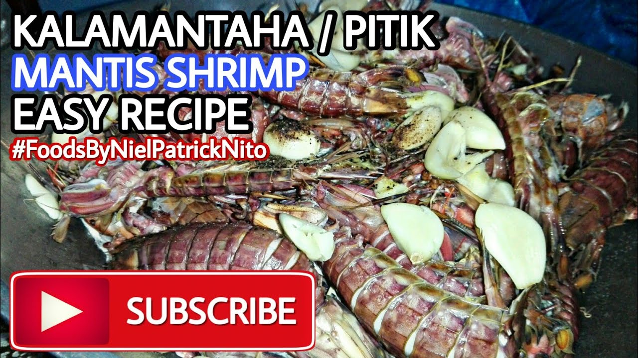 KALAMANTAHA / PITIK (Mantis Shrimp) EASY RECIPE #FoodsByNielPatrickNito ...