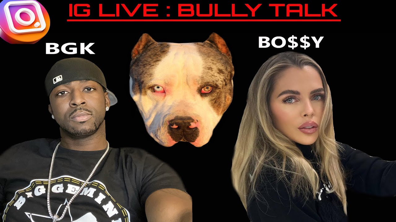 Bossy Kennels and Big Gemini Kennels present: Pitbull Talk, American ...