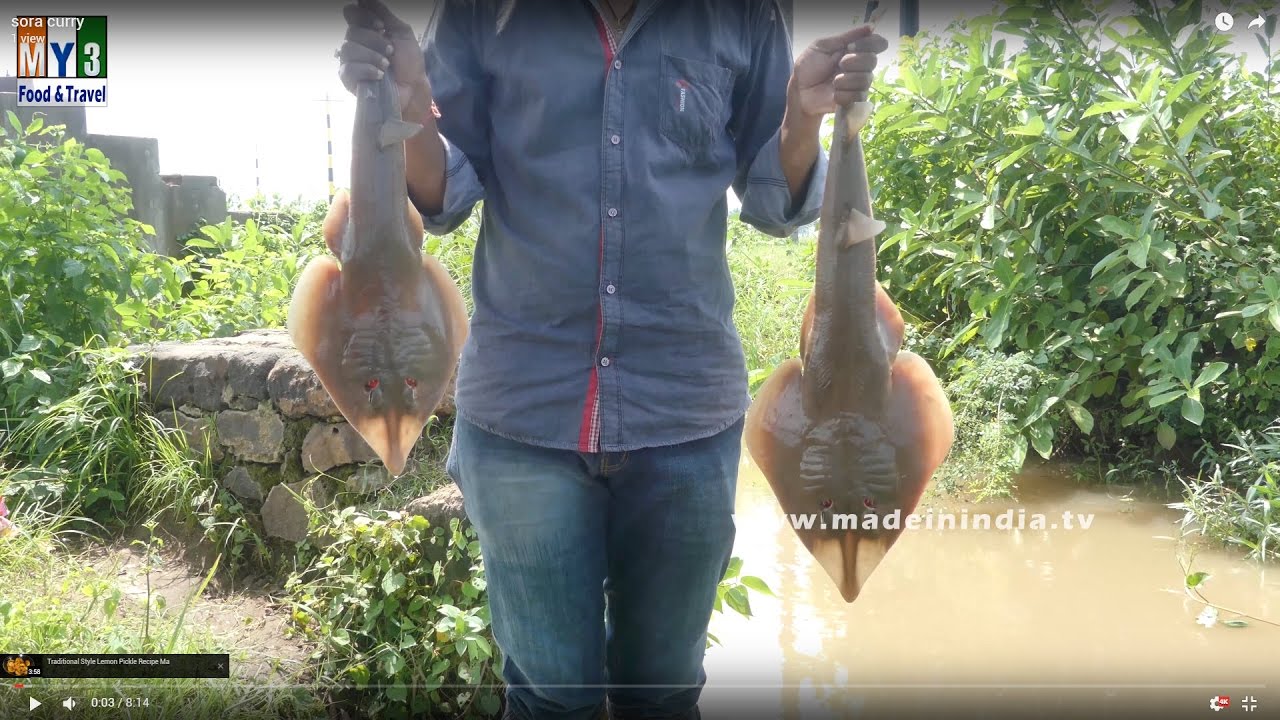 VILLAGE TRADITIONAL STYLE SHARK FISH CURRY MAKING | SORA sora curry ...