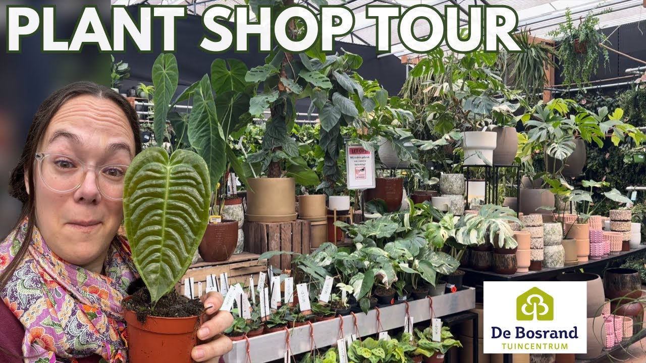 Amazing Plant Shop Tour! Bosrand Oegstgeest | Plant with Roos - YouTube