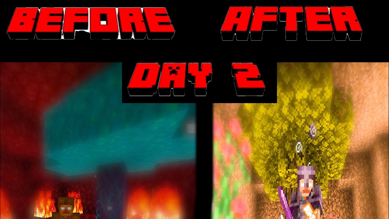 How I Transformed the Nether Into the Overworld in Minecraft Day 2 ...