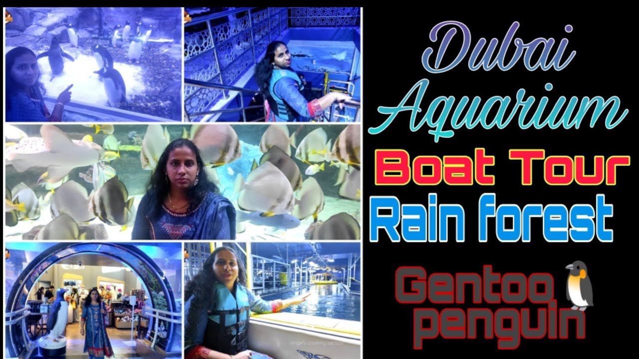 Dubai Aquarium &Under water zoo| Boat Tour|Rain forest |Shark Walker ...