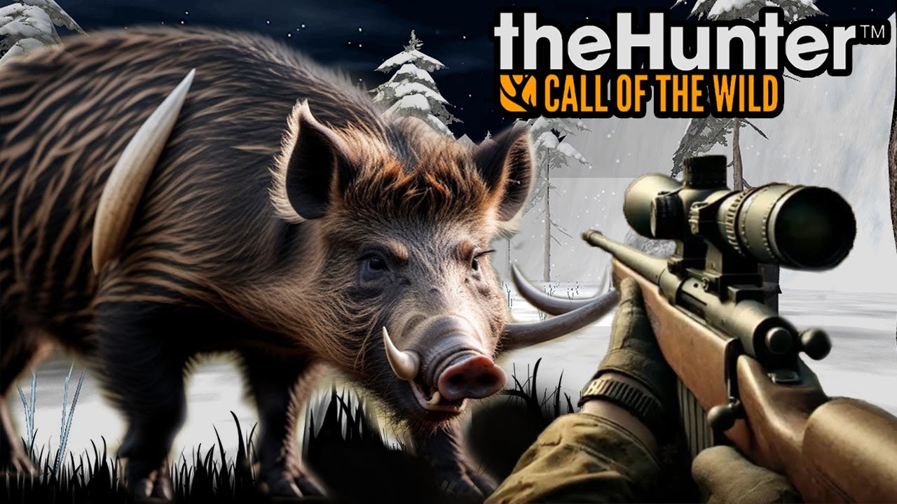 Fighting With Animals Wild Boar | The hunter call of the wild - YouTube