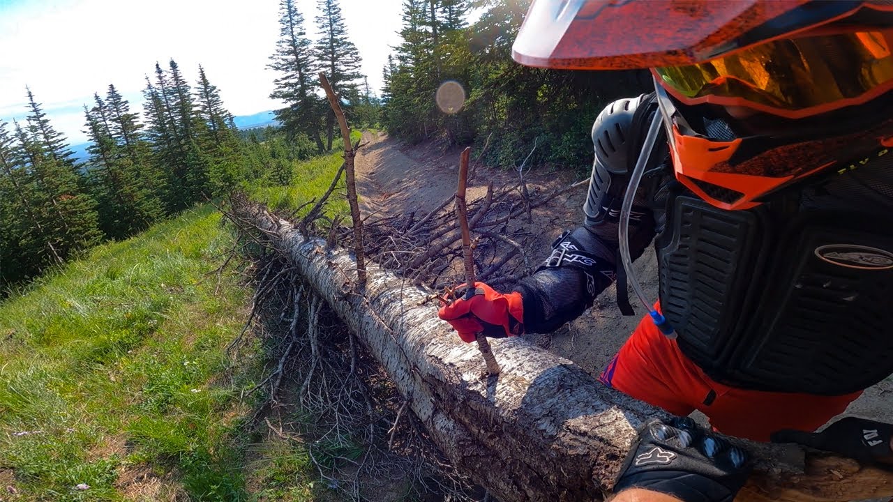 Log encounter and River Crossings - Utah BDR Section 4 - YouTube