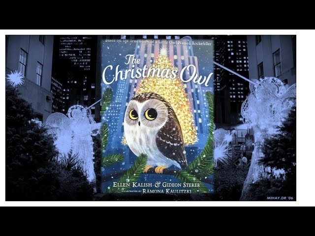 Little Owl And The Christmas Star