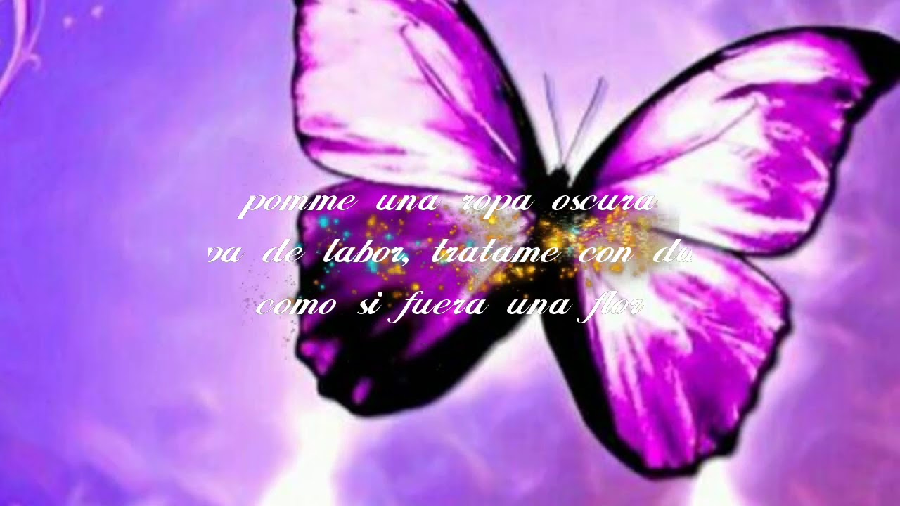 POEMA DE RUBEN DARIO EL RUEGO DEL LIBRO - YouTube