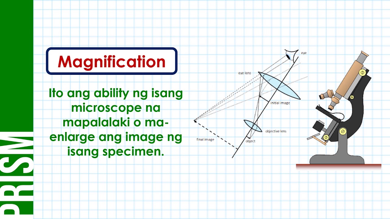 Ano-ano ang mga bahagi ng isang microscope? - YouTube