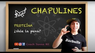 ¡Proteína de los chapulines! ¿Vale la pena?