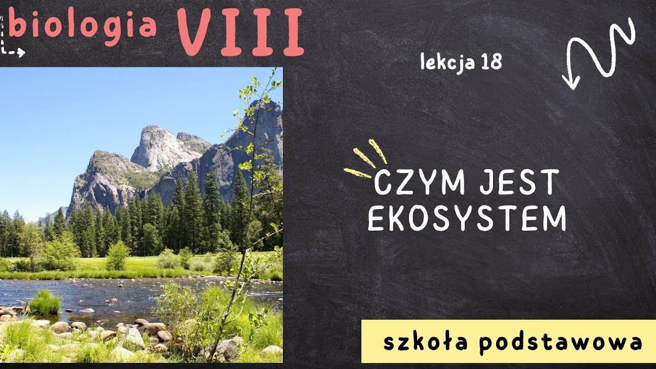Biologia 8 [Lekcja 18 - Czym jest ekosystem] - YouTube