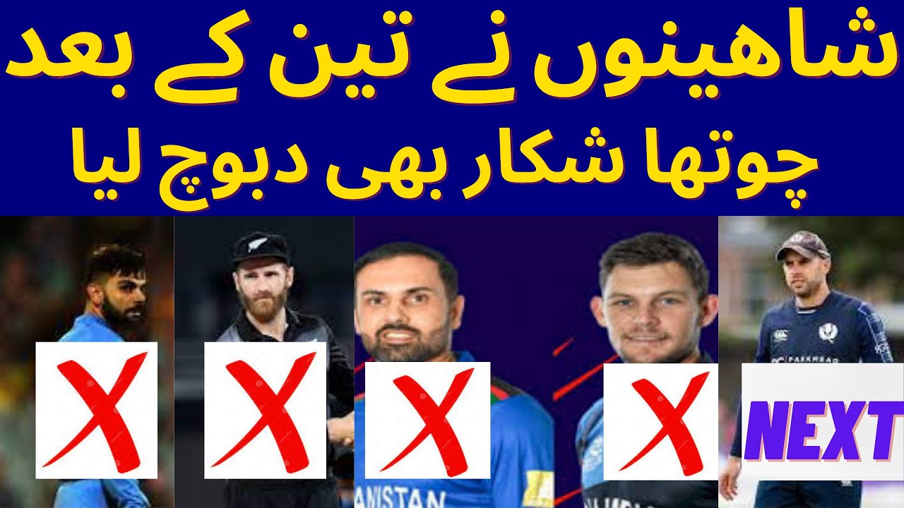 Icc World T20 2021 | Pakistan vs Namibia today Highlights | Wt20 ...