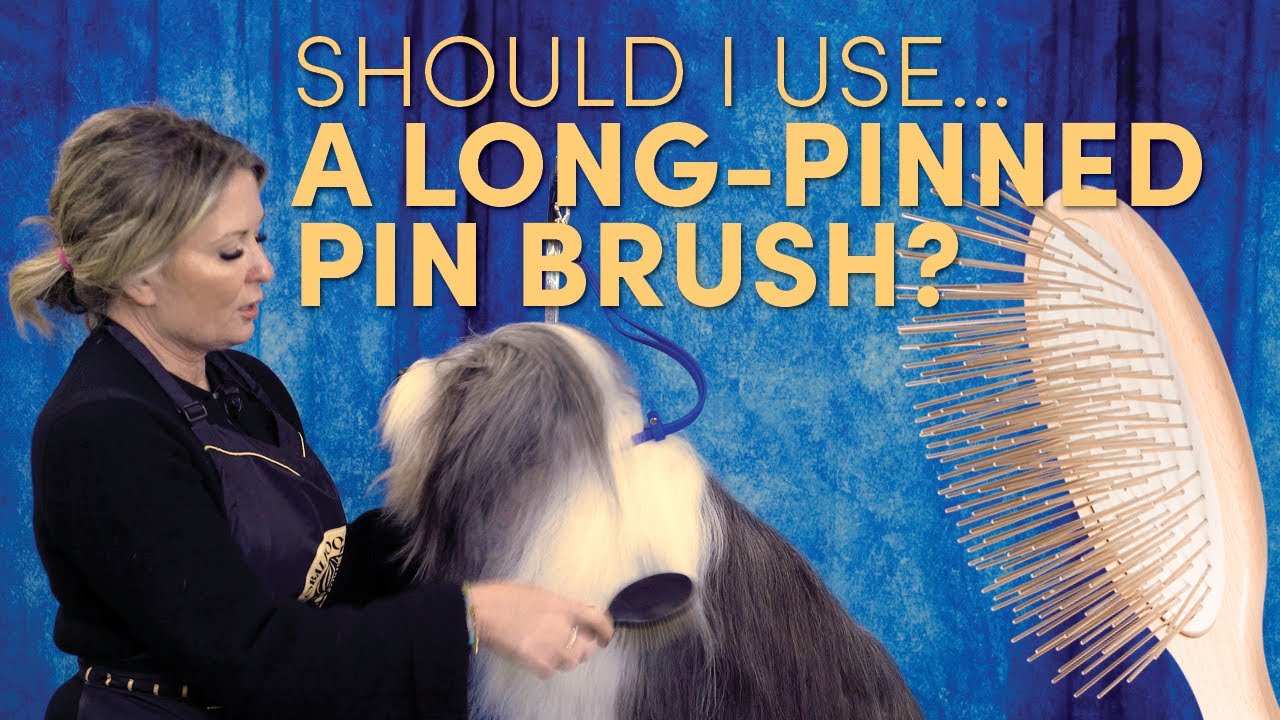 Should I Use… a Long-Pinned Pin Brush? - YouTube