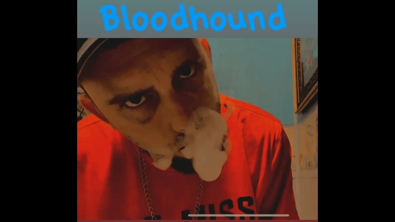 Rap - "Please Take ME Back" - By: Bloodhound AKA 'Ryan Woodcock ...
