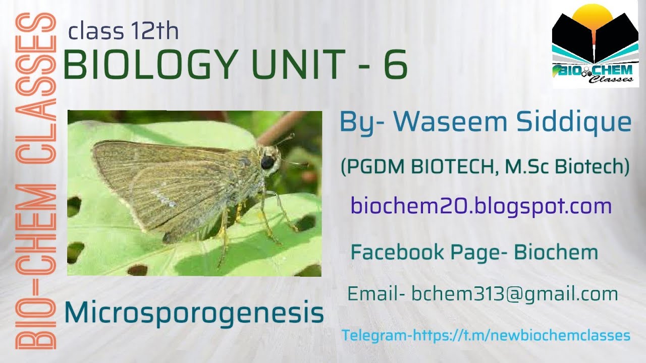 Microsporogenesis(intro)||sexual reproduction in flowering plant ...