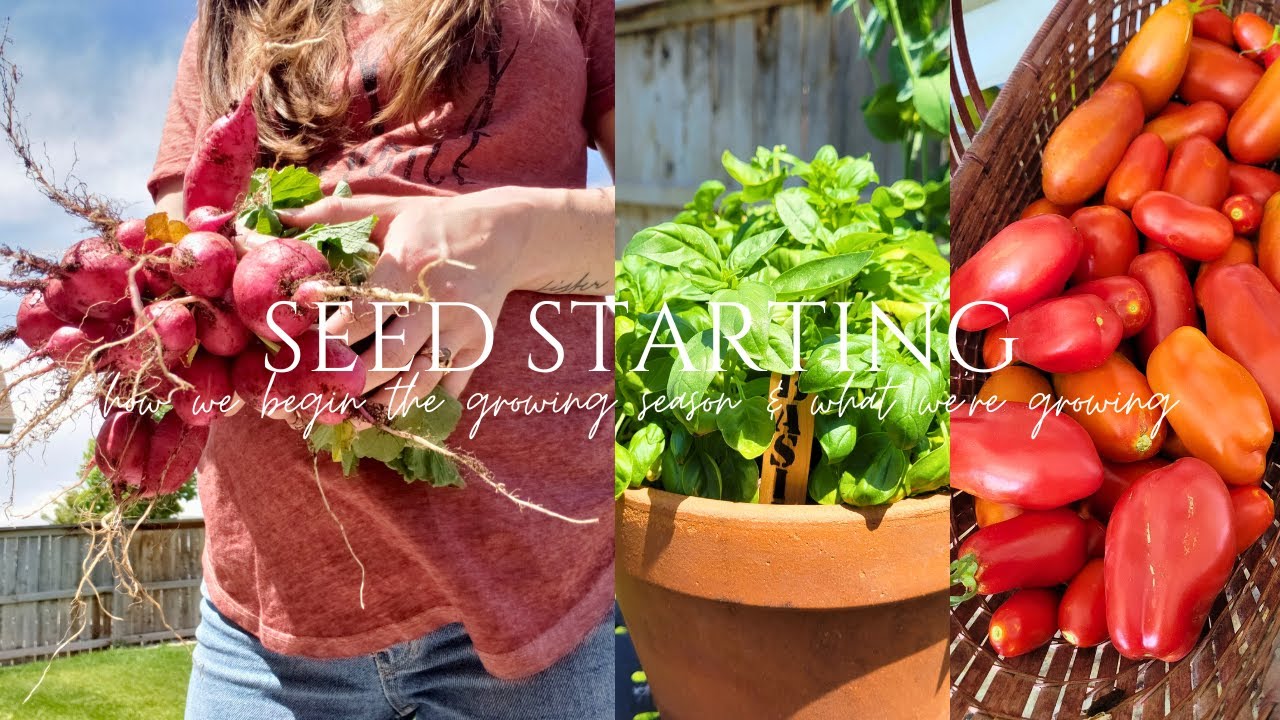 Seed Starting for our Spring Garden - How I begin the growing season ...