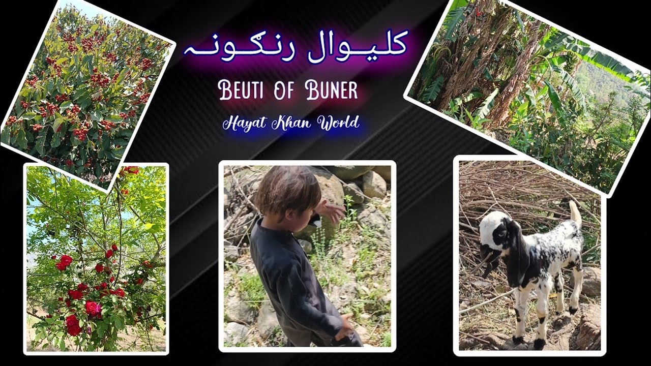 𝗕𝗲𝗮𝘂𝘁𝗶 𝗼𝗳 𝗕𝘂𝗻𝗲𝗿 𝗷𝗼𝘄𝗮𝗿 𝗦𝗮𝗹𝗮𝗿𝘇𝗮𝗶 - 𝗛𝗮𝘆𝗮𝘁 𝗞𝗵𝗮𝗻 𝘄𝗼𝗿𝗹𝗱 𝗩𝗟𝗢𝗚 ⁰² - د بونېر ښکلا - - YouTube