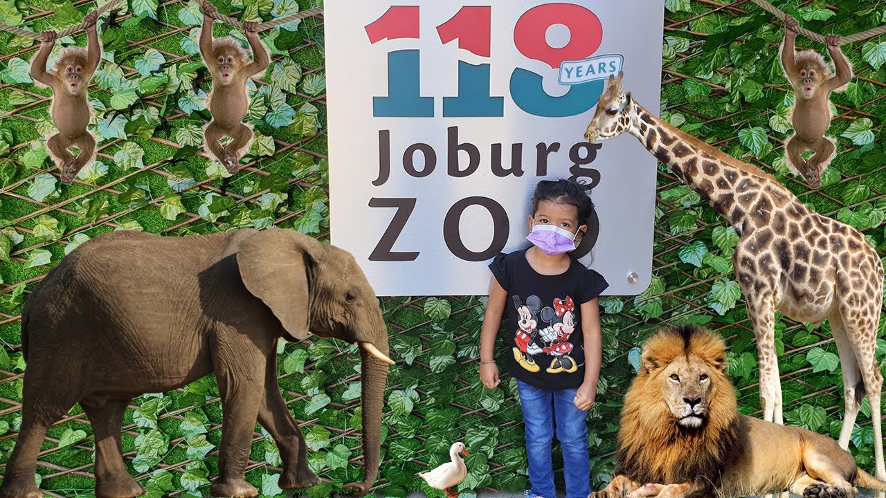 Joburg Zoo a visit for kids - YouTube