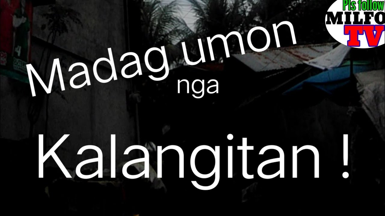 MILFOX Community Tv. House to work! - YouTube