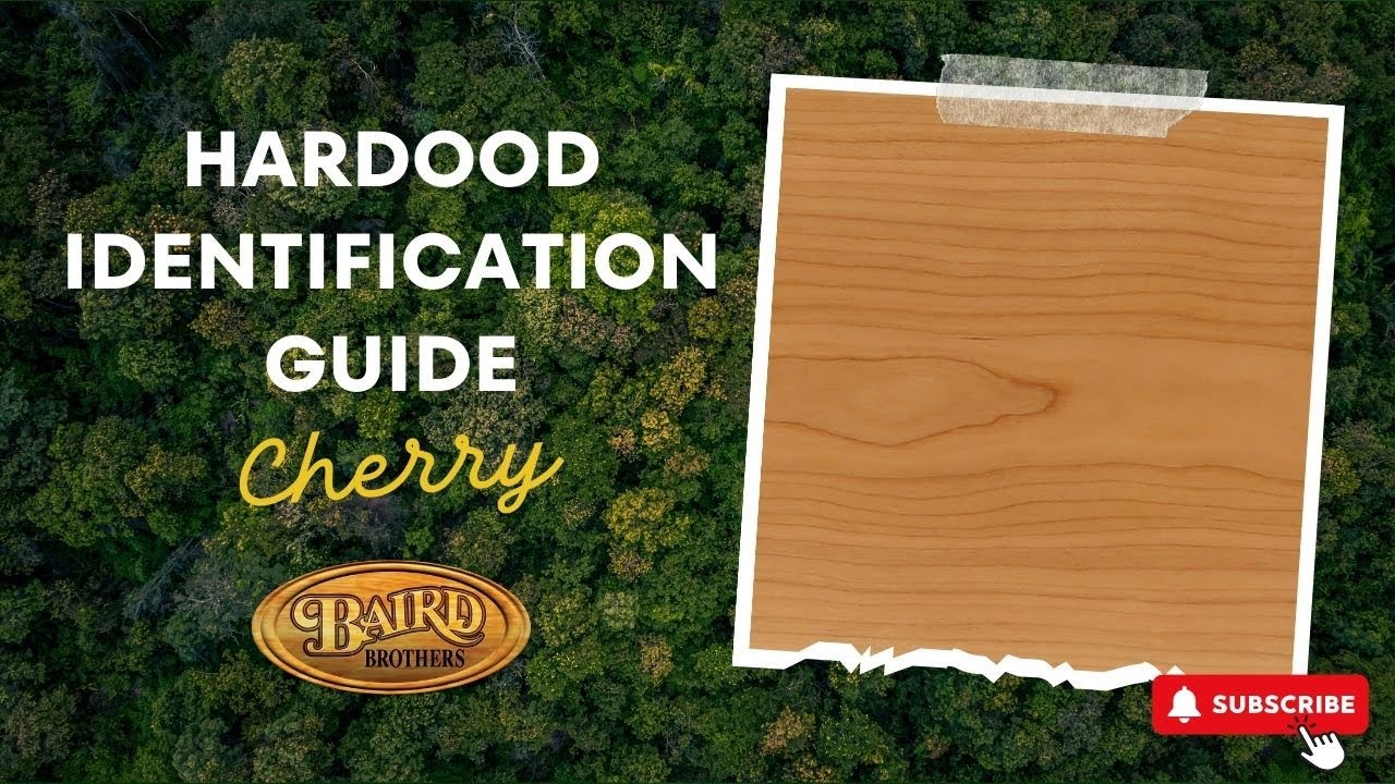 Which Type of Wood Is Right For Your Project? (Hardwood Identification ...