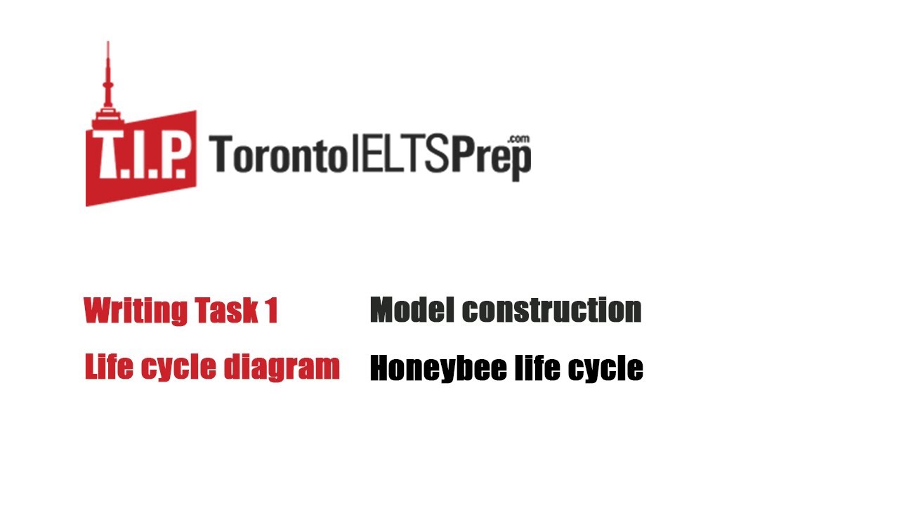 IELTS Writing Task 1 Academic - Life cycle - Honeybee - YouTube