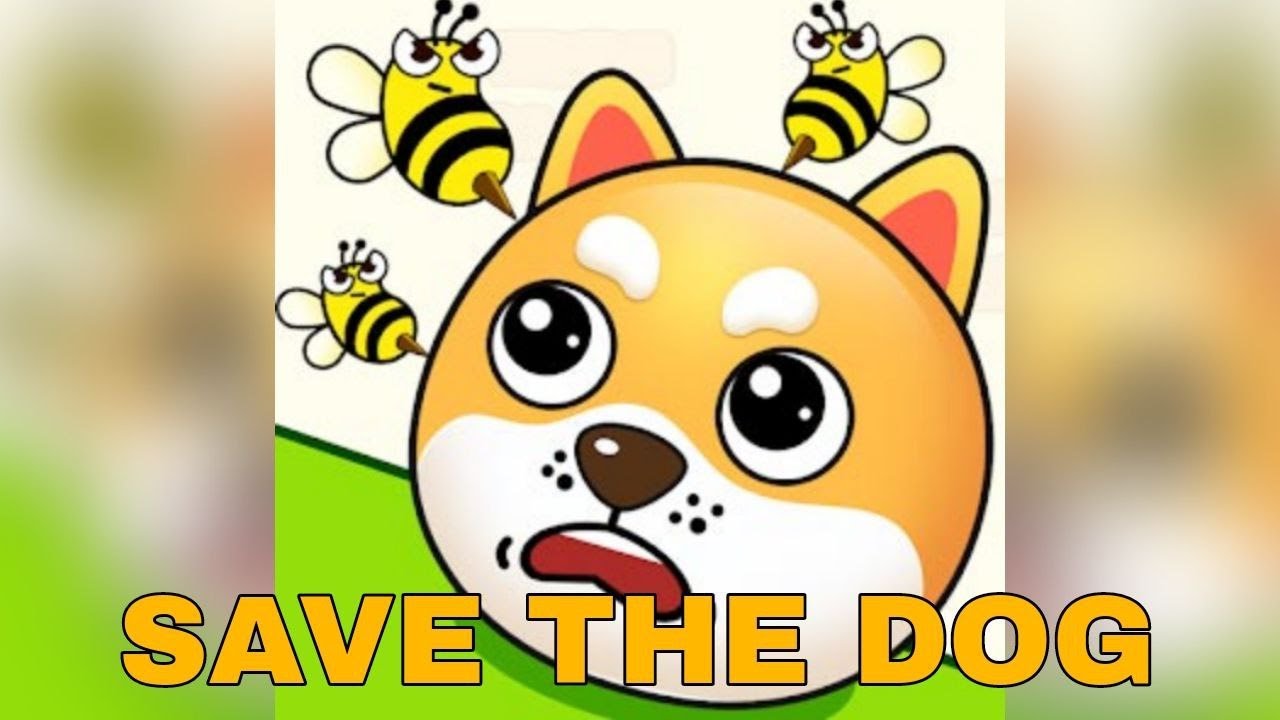 Bees vs dog ∞ Save the dog from the mad bees (Funny Educational Videos ...