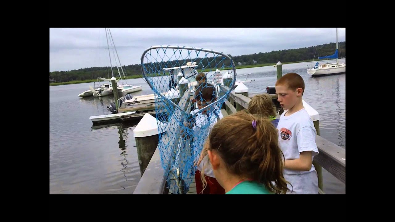 Different methods to catch Blue Crabs on Cape Cod - YouTube