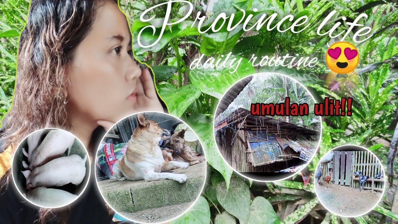 Province life in Philippines #Province#Provincelife# ...