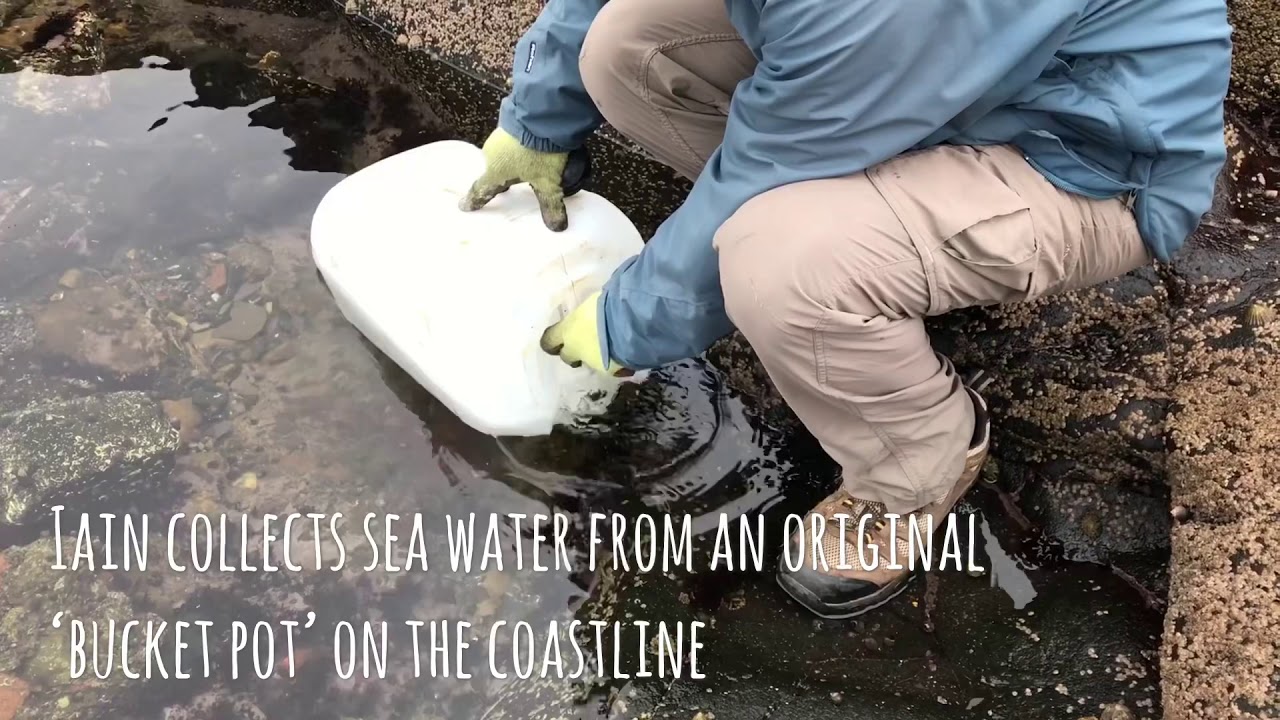 TRADITIONAL SALT PANNING - YouTube