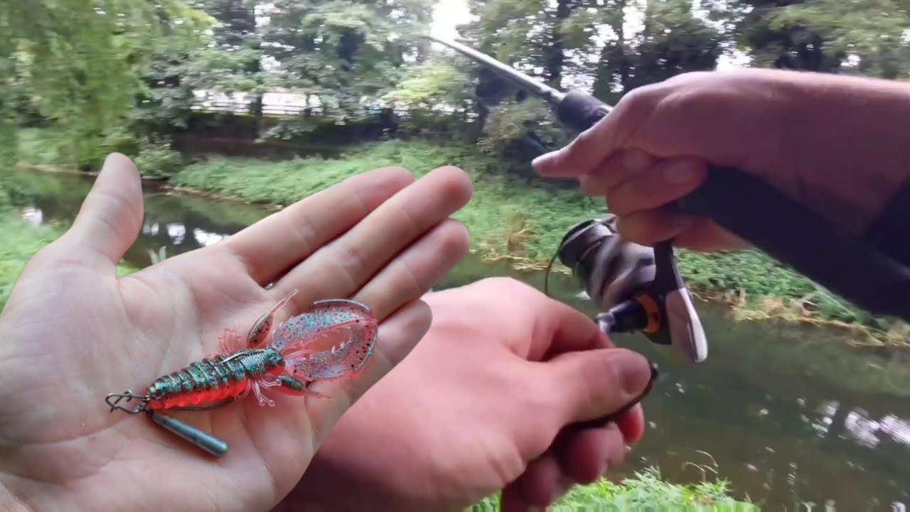 The perch were crushing the creature bait! (jiga rigs, chatterbaits ...