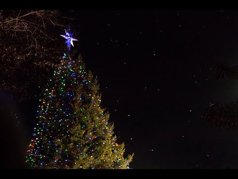 Boston Common Christmas Tree Lighting celebration honors century-long ...