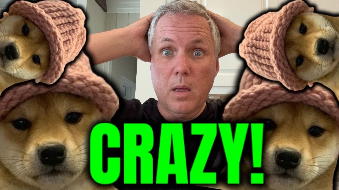 DOGWIFHAT JUST WON'T QUIT! DOGWIFHAT CRYPTO - WOW! - YouTube