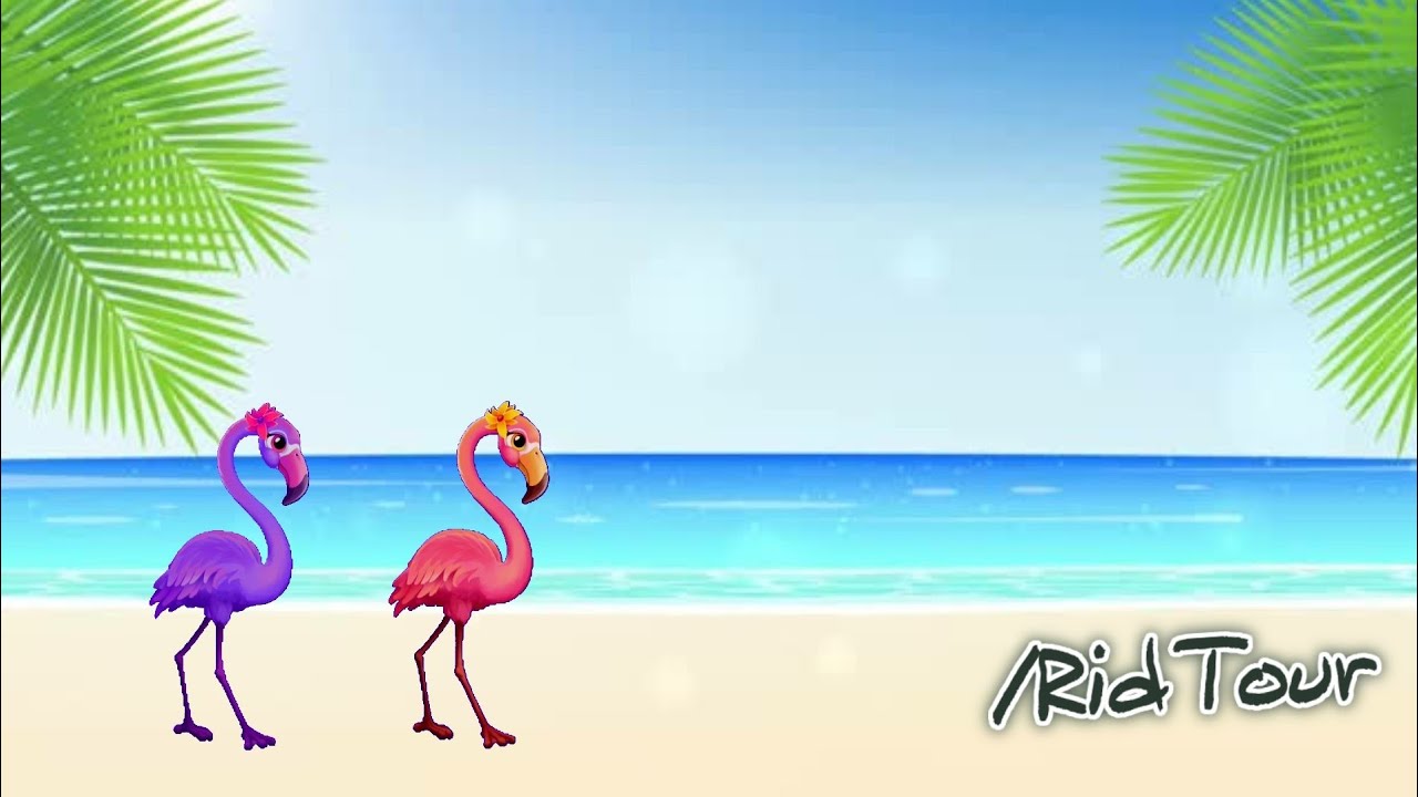 Two female Flamingos walking_01_Green Screen_RidTour - YouTube