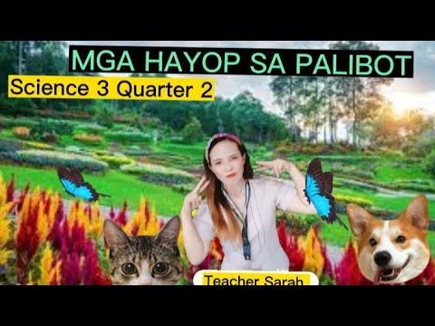 MGA HAYOP NGA MAKITA SA PALIBOT UG ANG MGA KAPUSLANAN SA MATAG USA ...