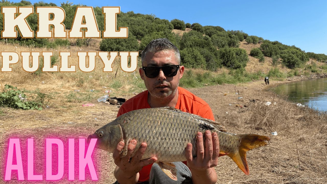 KRAL PULLU SAZANI ALDIK SONUNDA #Balıkavı#Sazanavı#Kamp#SazanAvı#BalıkAvı#Fishing#Carp#camping ...