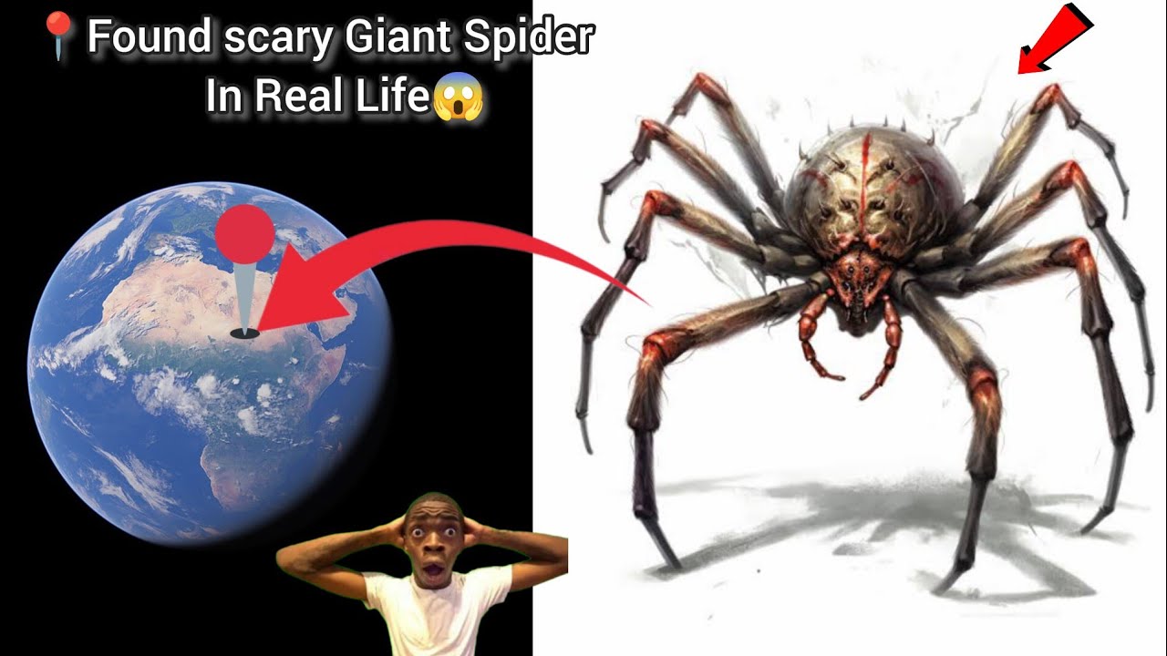 I Found Giant Scary Spider 🕷️On Google Earth 🌍 and google maps 🗺️ ...