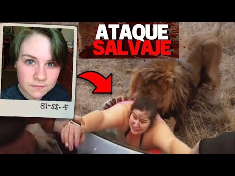 Los Ataques de Animales Salvajes más Brutalmente Locos Jamás Registrados