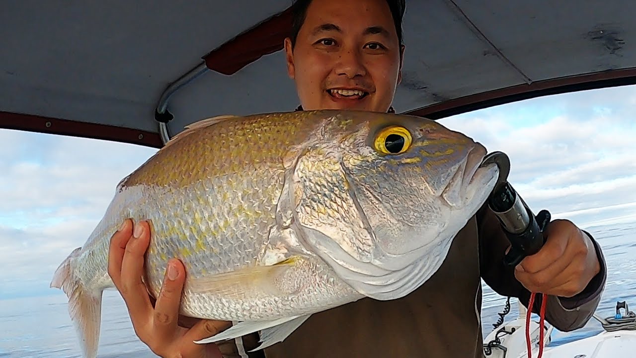 The SNAPPER GODS SHINES GOLDEN | EPIC weather near the shelf😍😍 - YouTube