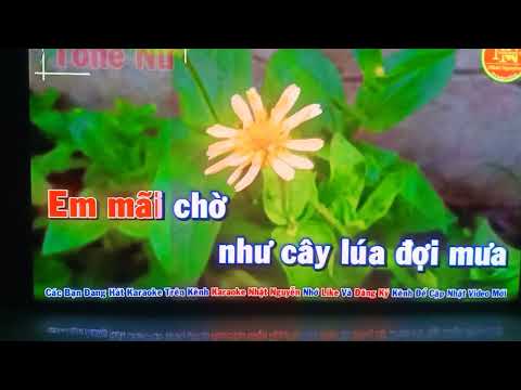 NGƯỜI CHỒNG XA XỨ - ST ,PHI BẰNG - NG MAI TRÌNH BÀY) ♥️♥️🌹🌹 - YouTube