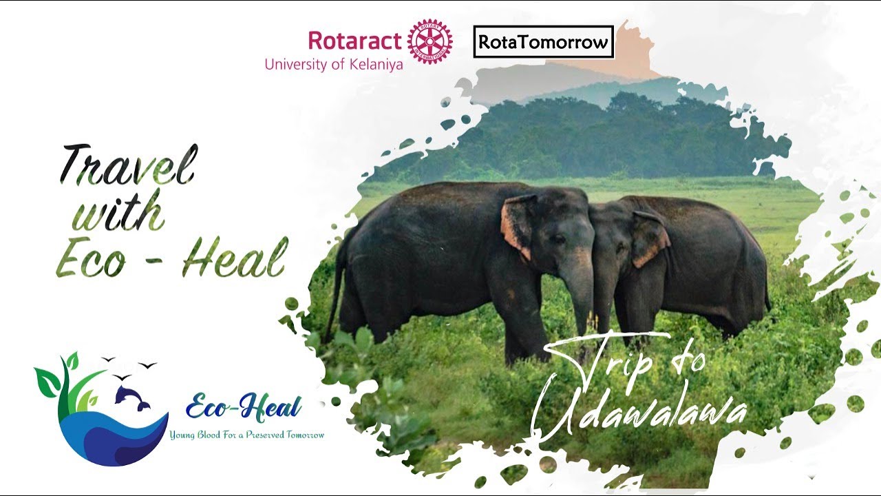 Travel with Eco-Heal in Udawalawa - YouTube