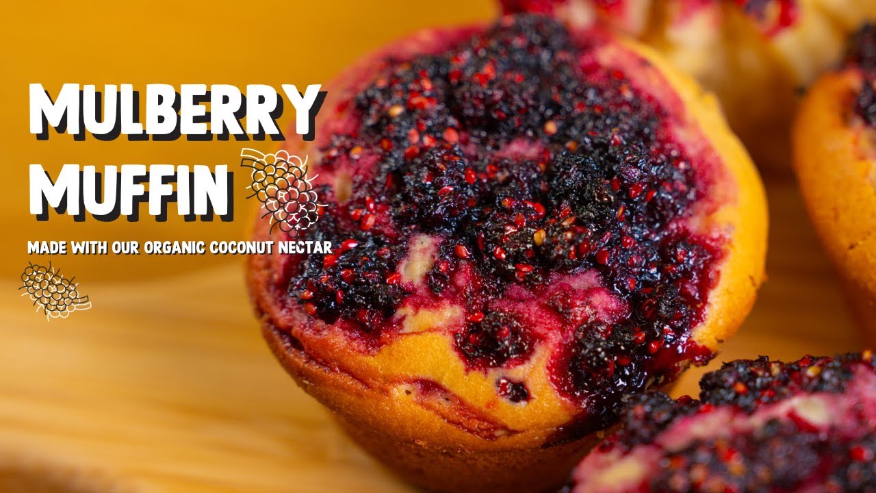 Mulberry Muffins made with our organic coconut nectar # ...