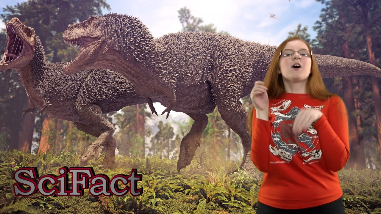 5 Things You Need To Know About T-Rex - Science Sage: SciFacts - YouTube