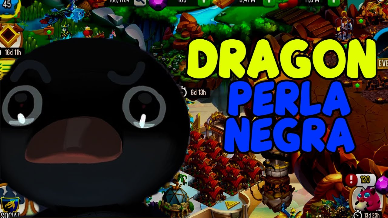 Maxeando El Dragon Perla Negra Dragon City Youtube