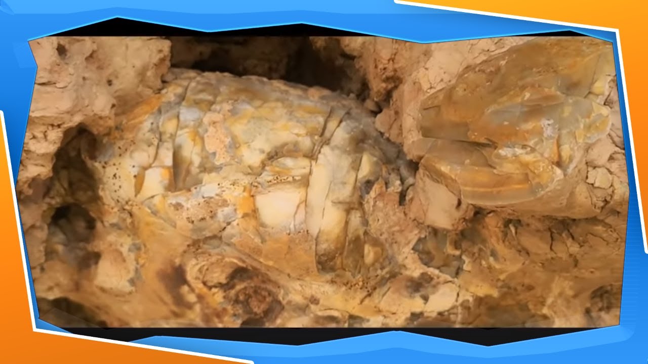 Jasper Caves and Desert Rocks | Collecting Rocks in the Pryor Mountains ...