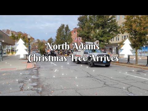 North Adams Christmas Trees Delivered for the 2023 Season - YouTube