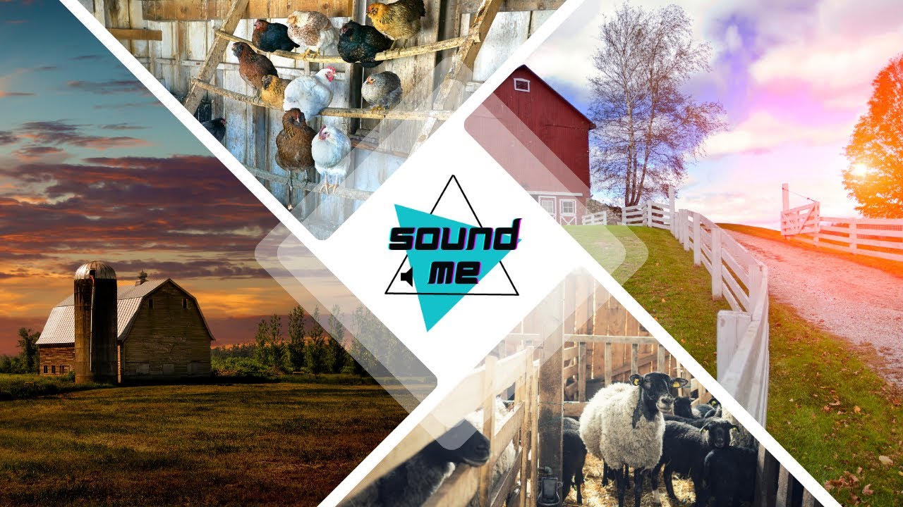 Farm Sounds Effects. FREE Copyright Sound Effects | soundME - YouTube