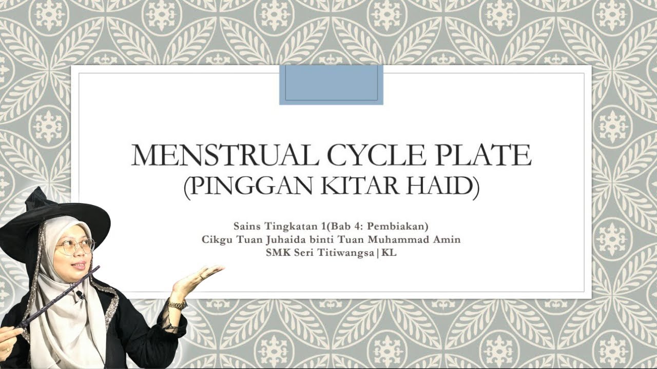 Science activity: Menstrual Cycle Plate - YouTube